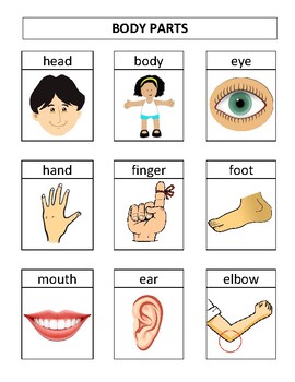 VIPKid/ESL Printable Body Parts Flashcards (Site Words, Reading ...