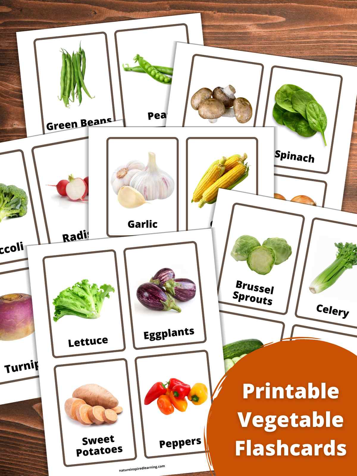Free printable flashcards with images, Download Free printable flashcards with images png images ...