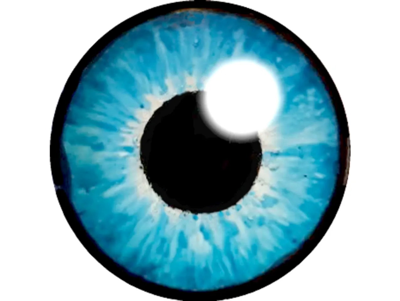 Fursuit Eye Outer Part Von Tioh Kostenloses Stl Modell Worksheets Library