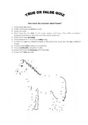 How much do you know about horses true or false quiz - ESL ...