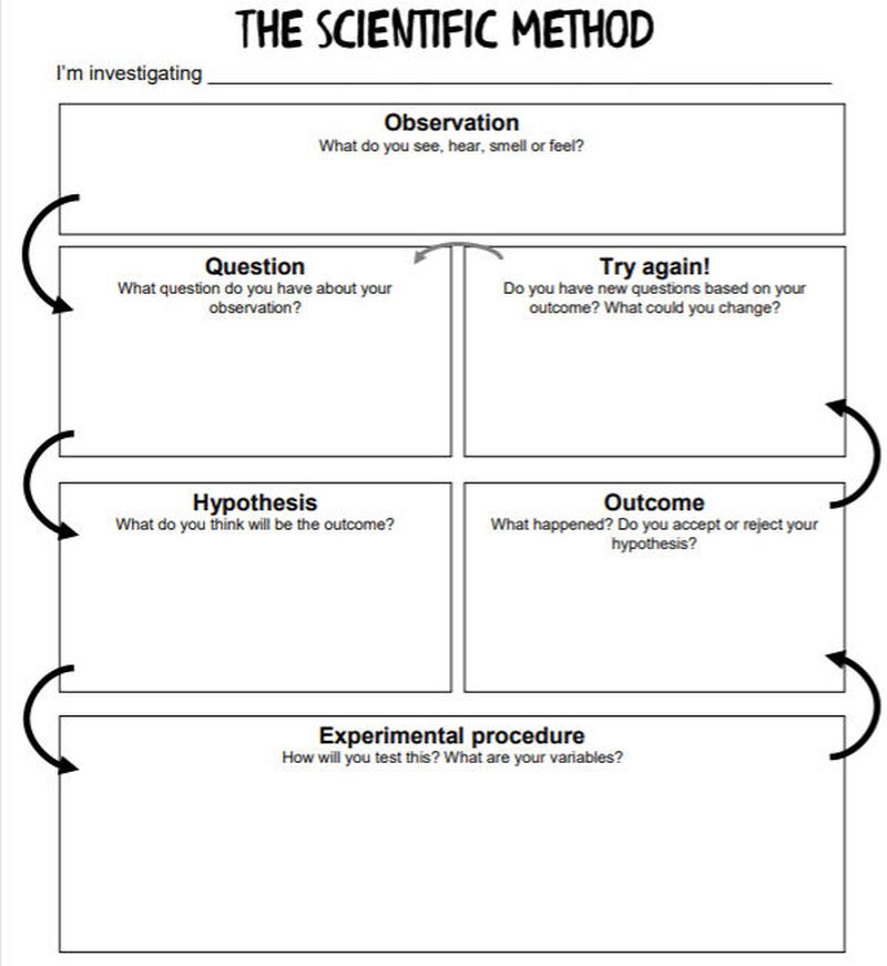 Free Printable Scientific Method Graphic Organizer For Teachers ...