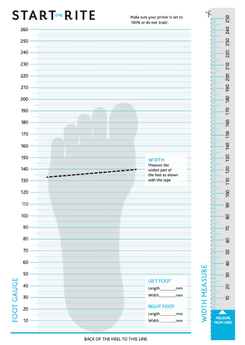 Shoe size guide - Worksheets Library