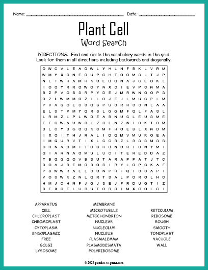 Plant Cell Word Search - Worksheets Library
