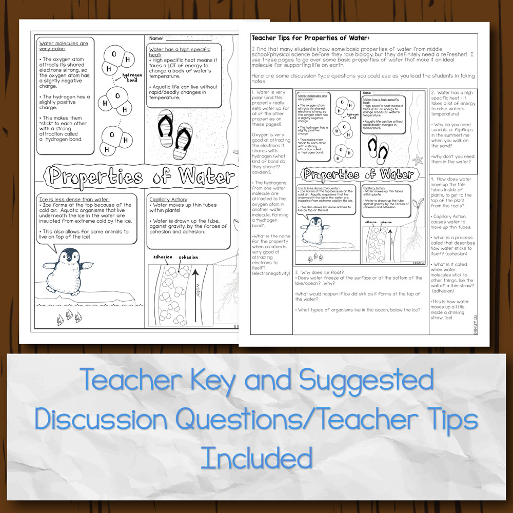 Properties Of Water Doodle Diagrams Worksheets Library Properties Of Water Doodle Diagrams Worksheets Library