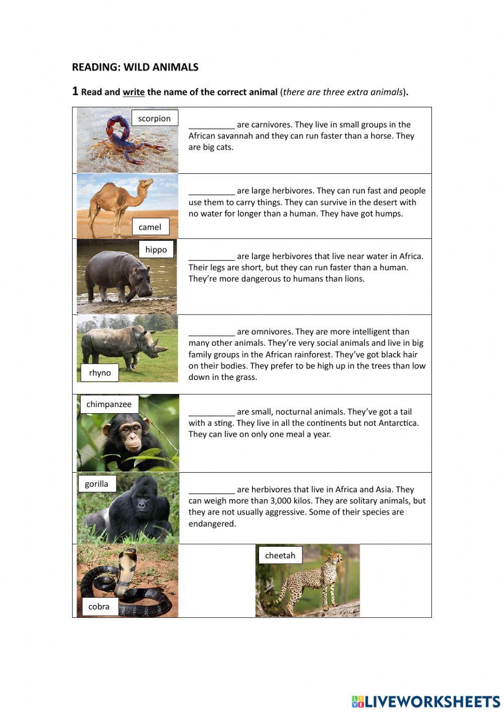 Reading: Comparison with Animals worksheet | Live Worksheets ...