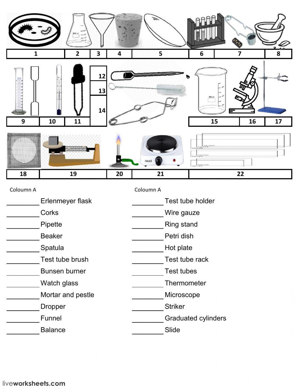 Free science equipment worksheet, Download Free science equipment ...