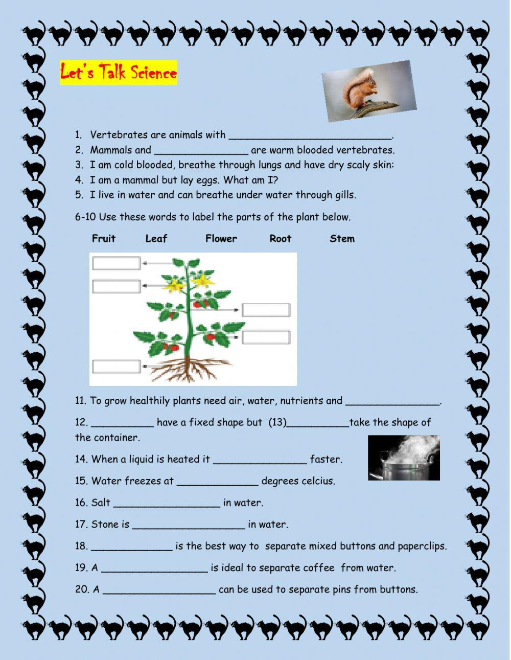 Free Science For 4th Grade Worksheet Download Free Science For 4th Free Science For 4th Grade Worksheet Download Free Science For 4th
