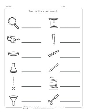 Lab Equipment Worksheets - Itsy Bitsy Fun - Worksheets Library