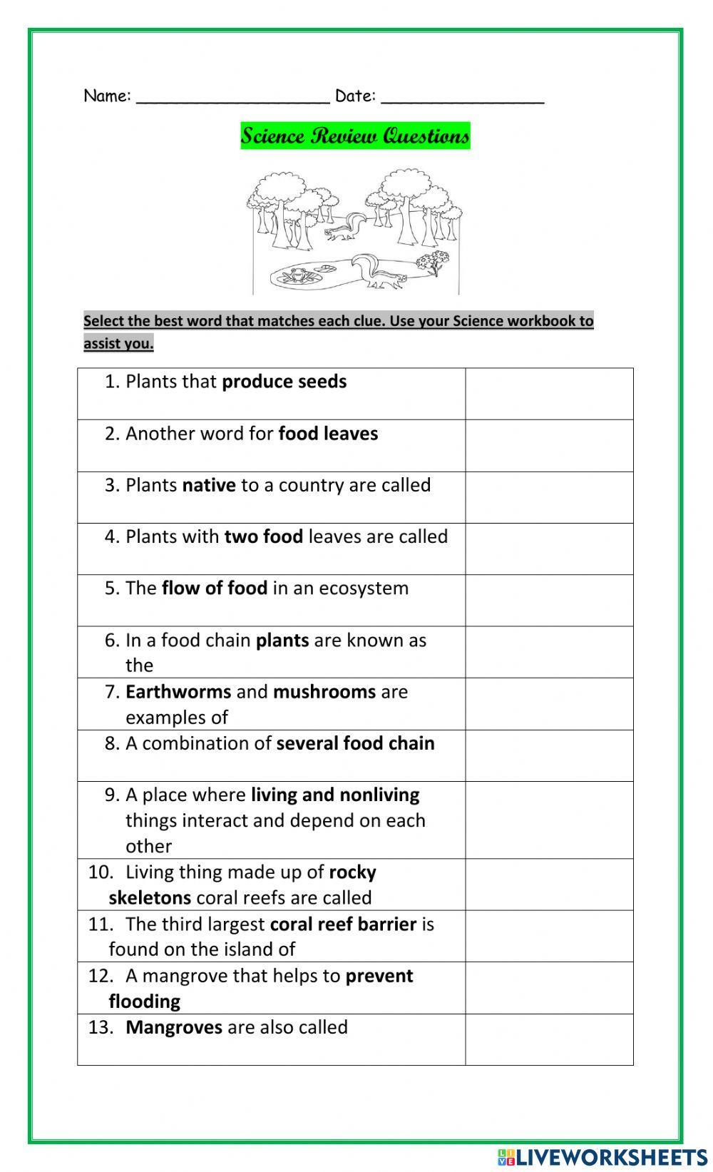 Free science review worksheet, Download Free science review worksheet ...
