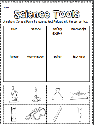Science Tool or Not? Interactive Worksheet – Edform - Worksheets Library