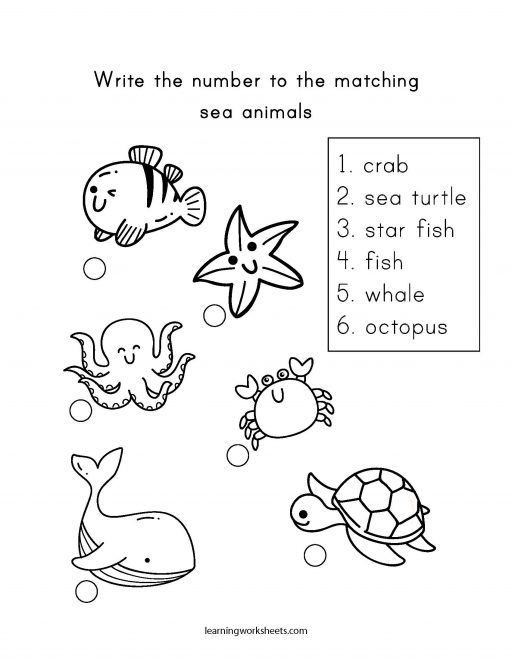Free sea animals worksheet, Download Free sea animals worksheet png ...