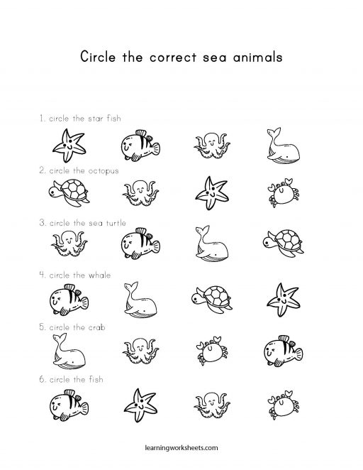 Circle the correct sea animals - learning worksheets Sea Animals ...