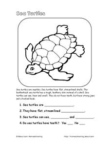 Sea Turtles Worksheet for 1st - 2nd Grade | Lesson Planet - Worksheets Library
