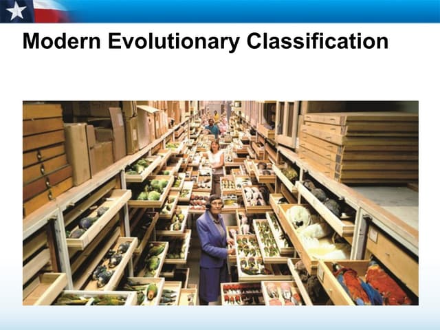 Evolutionary Classification Ppt Worksheets Library