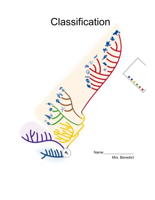 Classification Worksheets Library