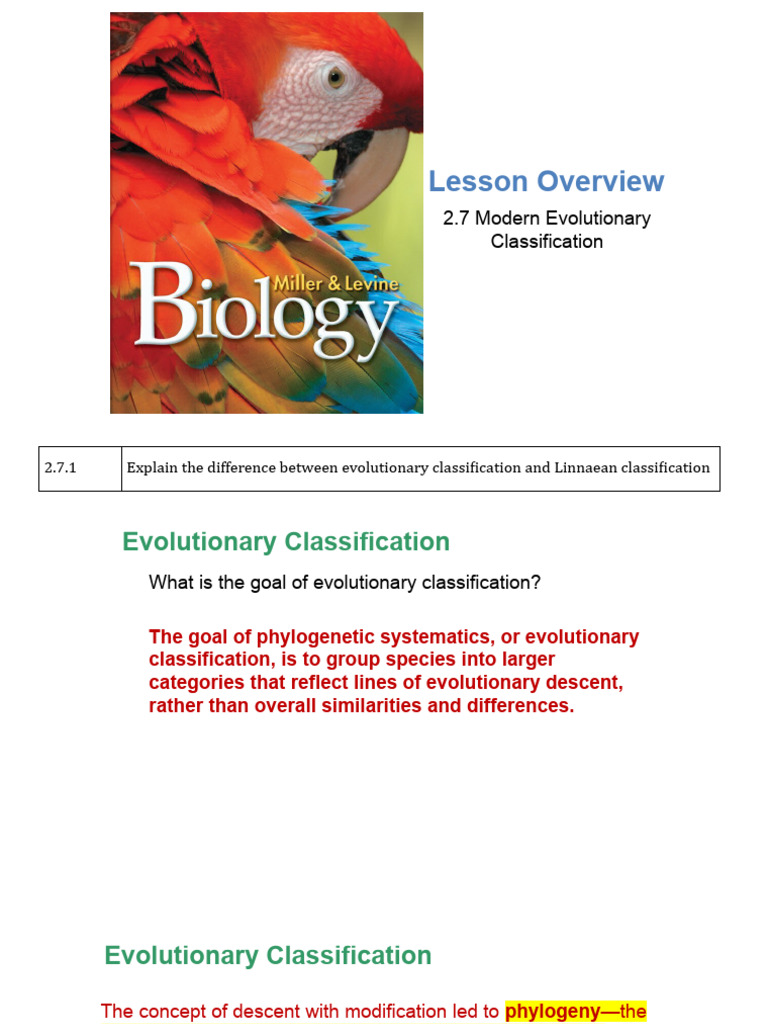 2 7 Classification 2 Modern Evolutionary Classification34 Pdf Worksheets Library