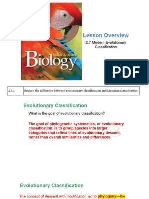 Free section 18 2 modern evolutionary classification worksheet answers ...