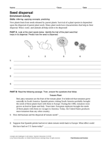 Activity: Seed Dispersal - Science Printable (Grades 6-12 ...