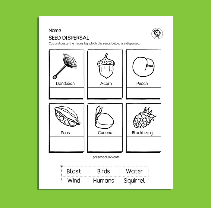 Green Plant - My Science Activity Packet (22pages) - Worksheets Library