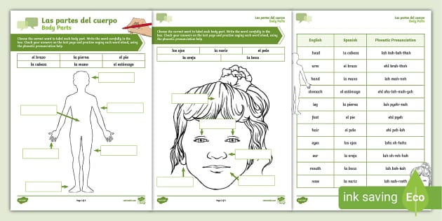 Spanish: Body Parts Labelling Activity Sheet (teacher made ...