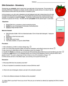Strawberry DNA Activity - Worksheets Library