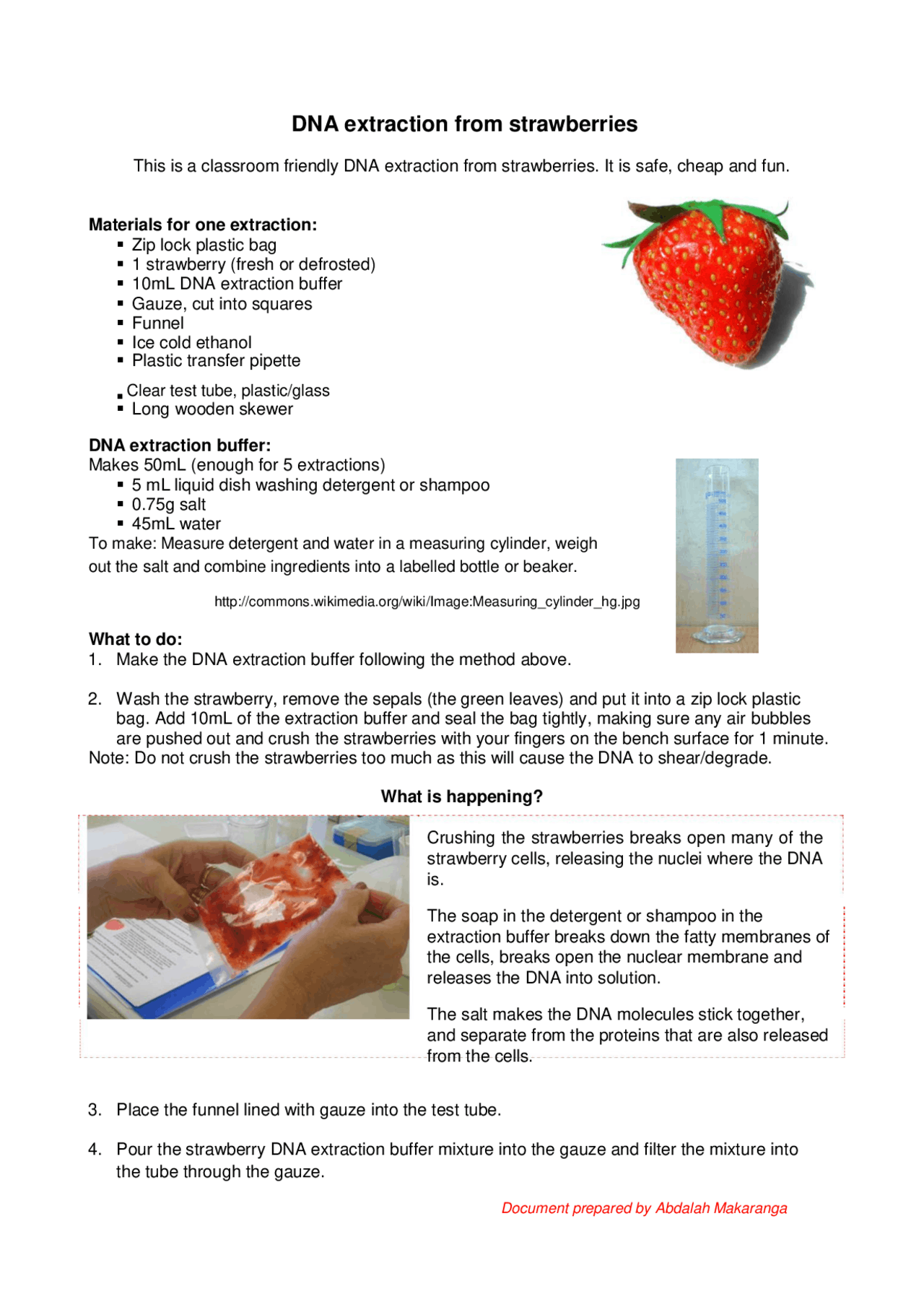 DNA-extraction from strawberries practical Manual | Study Guides ...