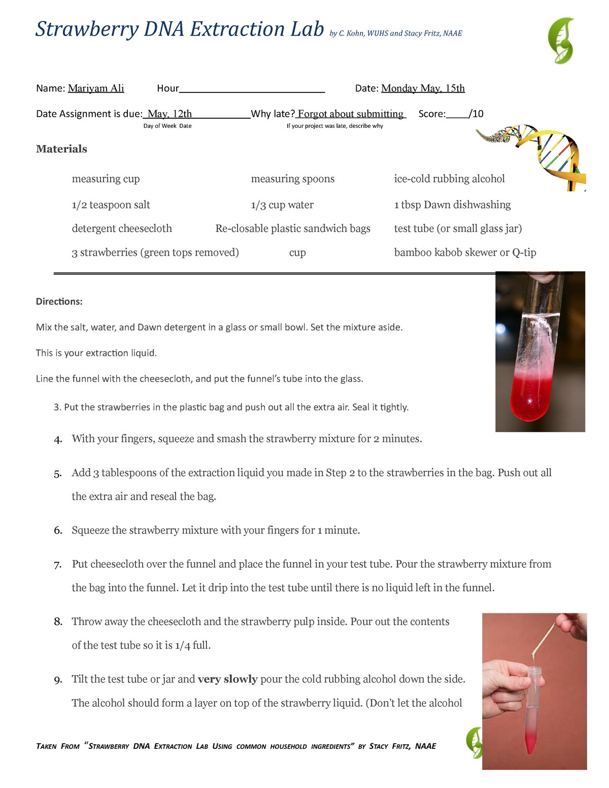 Strawberry DNA Extraction Lab - Amped Up Learning - Worksheets Library
