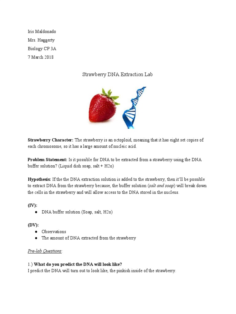 Dna Extraction Lab | PDF | Filtration | Dna - Worksheets Library