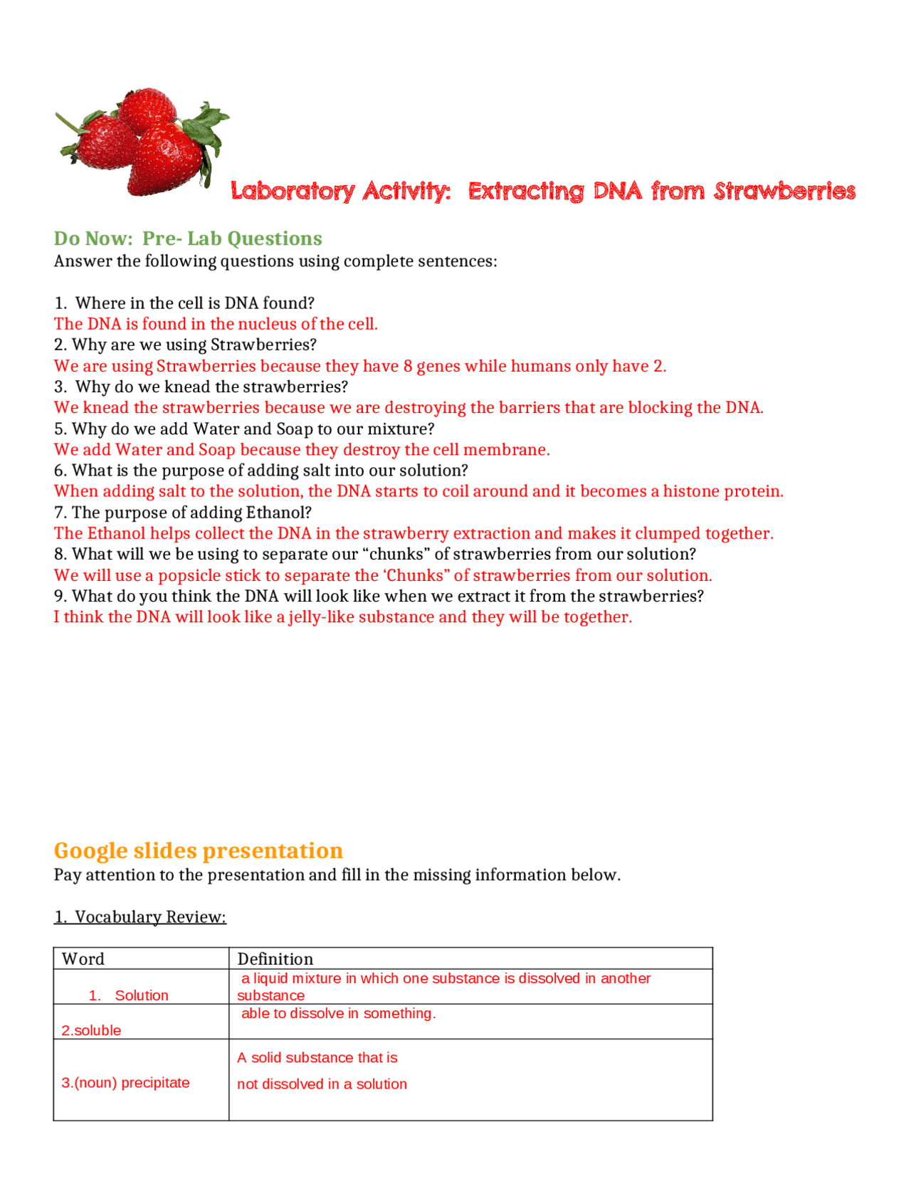 Strawberry Experiment with preview questions and after result ...