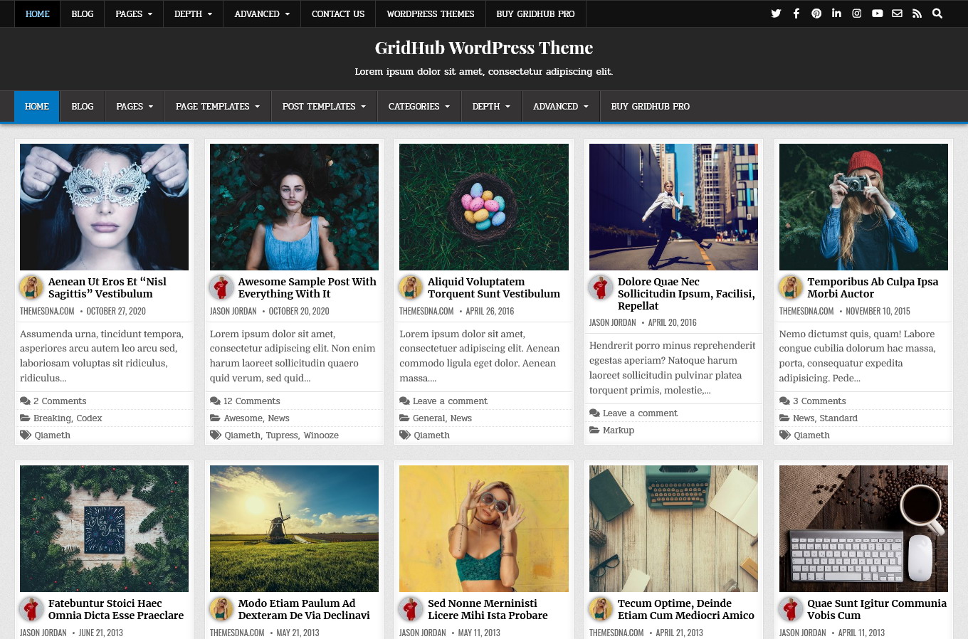 GridHub - Blog Grid WordPress Theme | ThemesDNA.com - Worksheets Library
