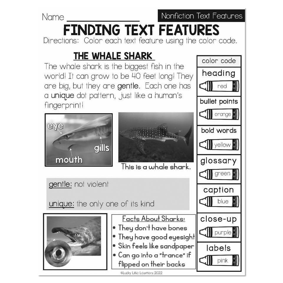 Summer - Early Finishers 1st Grade - ELA - Nonfiction Text ... - Worksheets Library