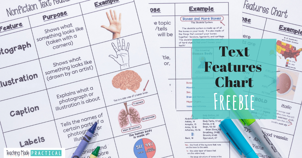 Free Text Features Chart - Teaching Made Practical - Worksheets Library