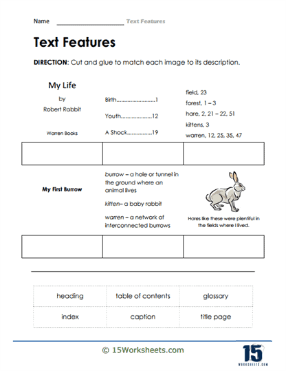 Free text features worksheet 4th grade, Download Free text features ...