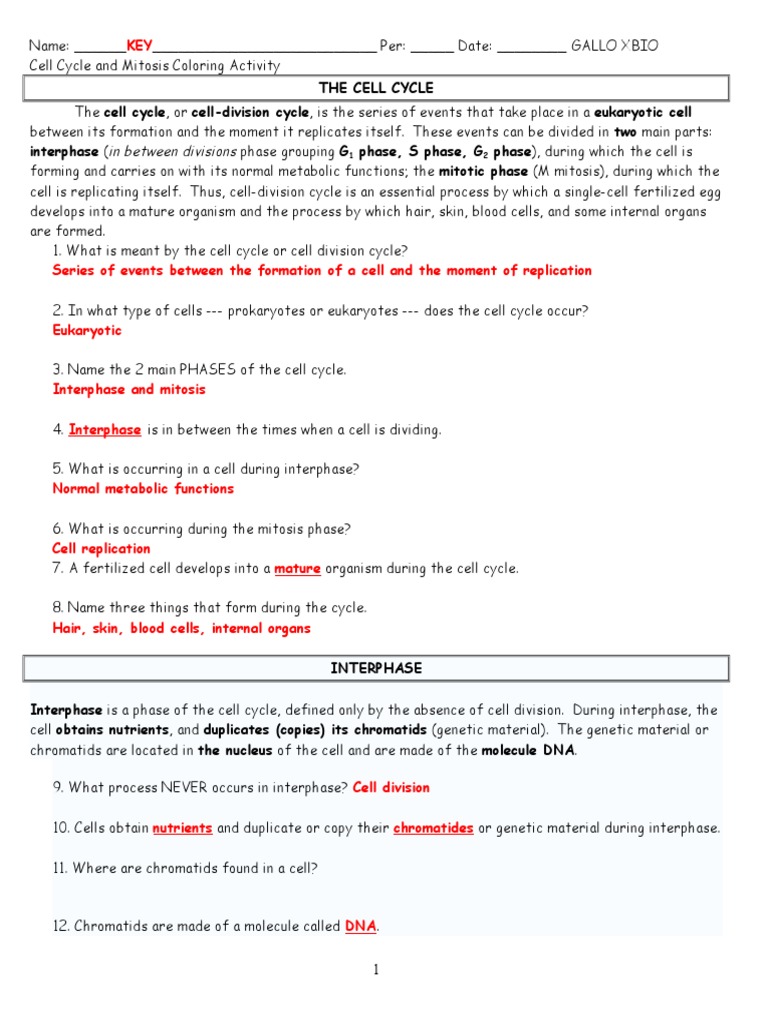 Free the cell cycle coloring worksheet answers, Download Free the cell cycle coloring worksheet ...