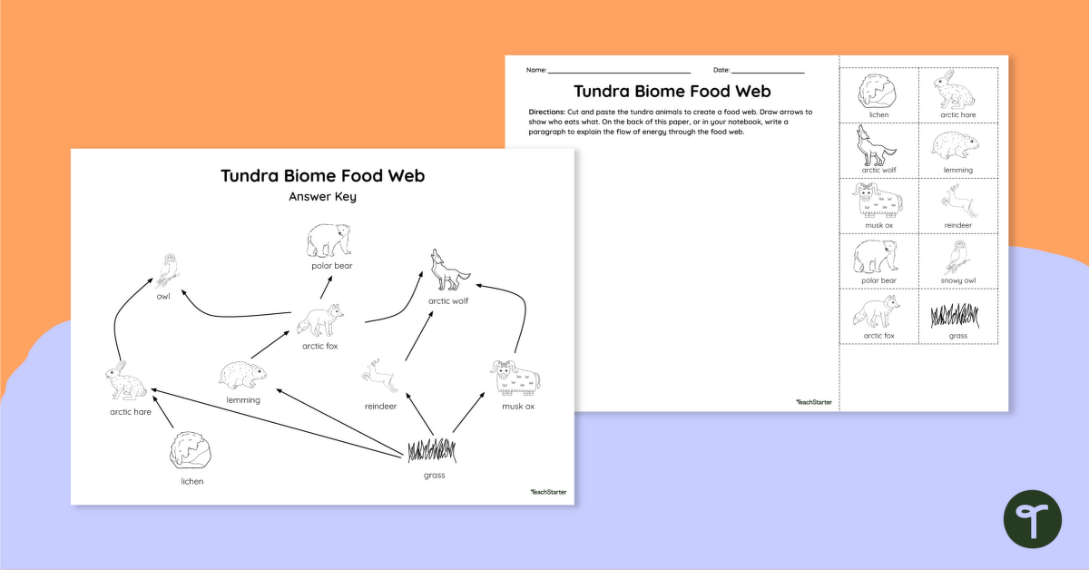 Tundra Biome Food Web - Cut and Paste Worksheet | Teach Starter ...
