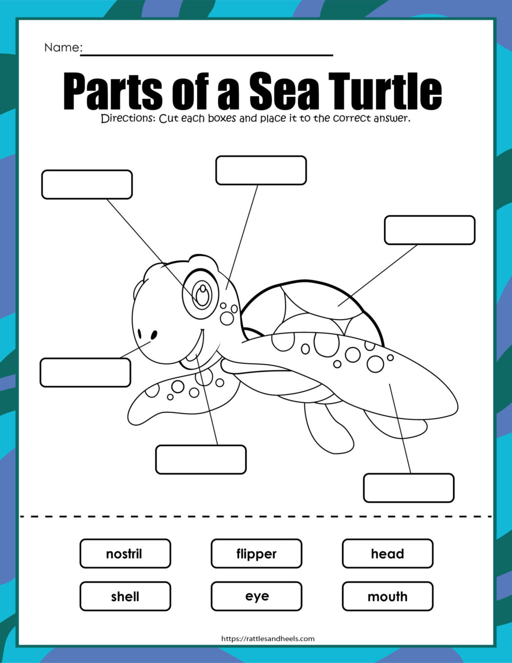 Color by number: The Turtle | K5 Learning - Worksheets Library