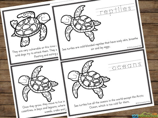 ? FREE Life Cycle of a Sea Turtle for Kids Printable Reader - Worksheets Library