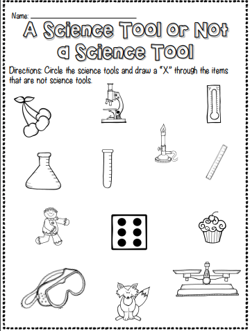 Science Tool or Not? Interactive Worksheet – Edform - Worksheets Library