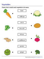 Vegetables Worksheets - Worksheets Library