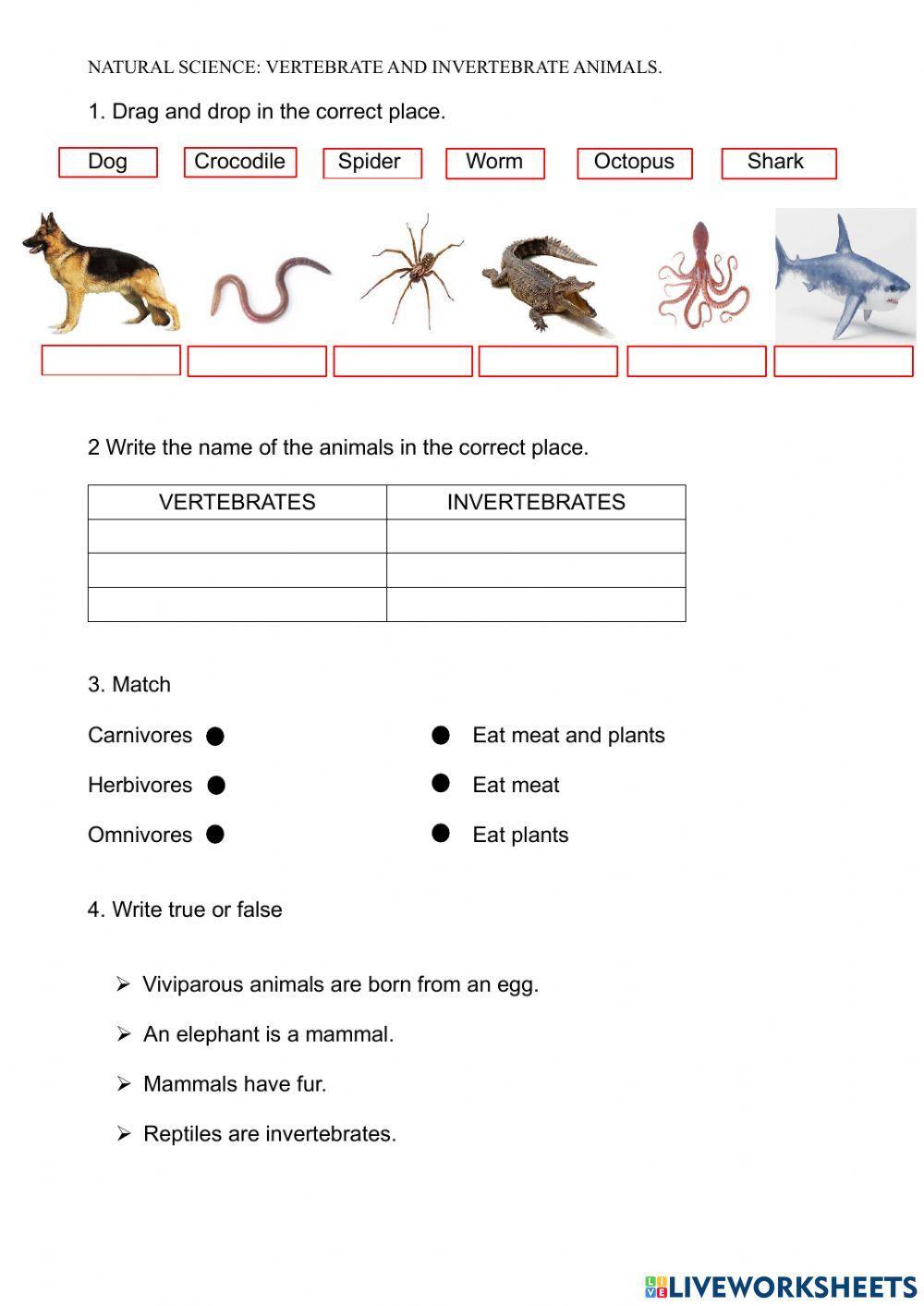 Animals:vertebrates and invertebrates worksheet | Live Worksheets ...
