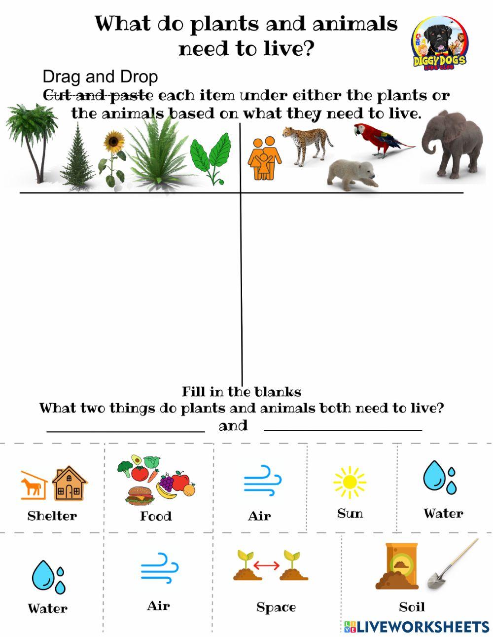 What Do Plants And Animals Need To Live Online Exercise For What Do Plants And Animals Need To Live Online Exercise For