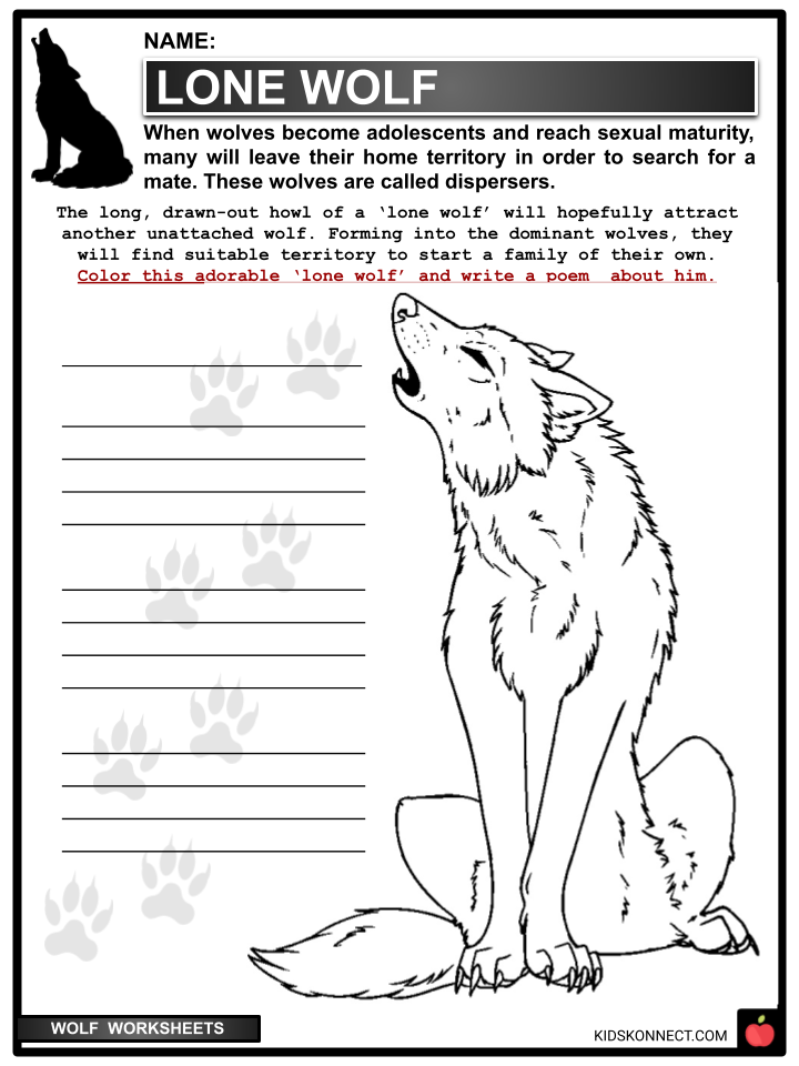 Wolf Facts, Habitat, Behavior, Diet Facts & Worksheets | KidsKonnect ...