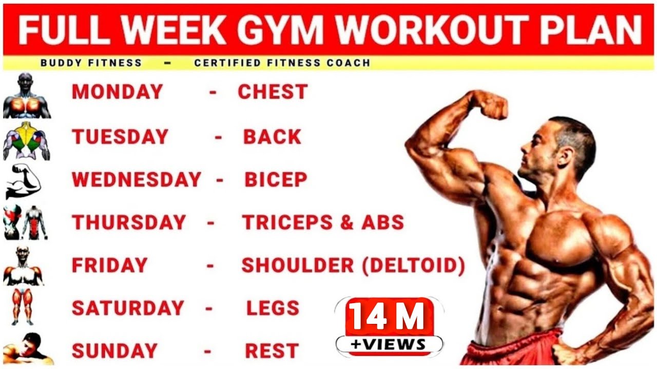 Free Workout Schedule Download Free Workout Schedule Png Images Free Free Workout Schedule Download Free Workout Schedule Png Images Free