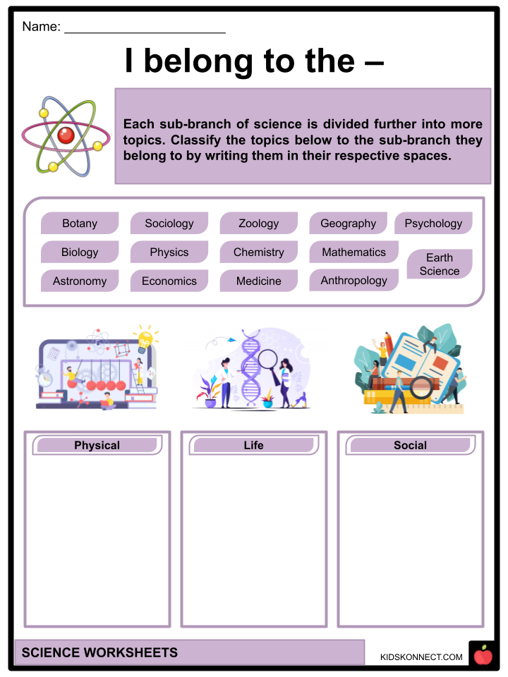 Science Worksheets | The Scientific Method, Branches of Science ...